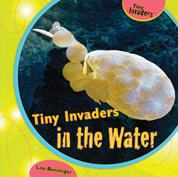 Tiny Invaders | Rosen Publishing